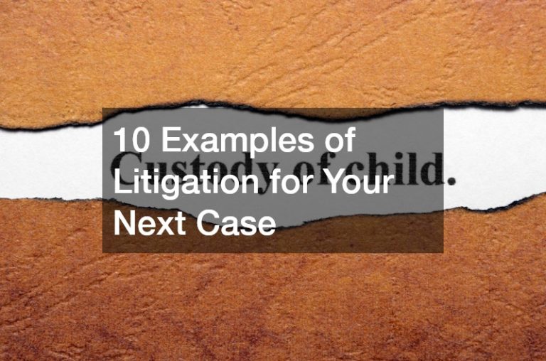 10 Examples of Litigation for Your Next Case - Community Legal Services